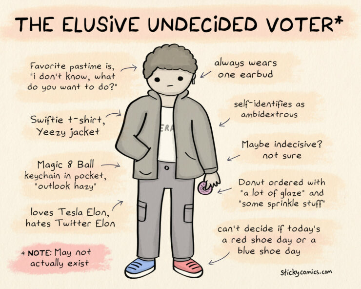 The Undecided Voter of 2024 – sticky comics